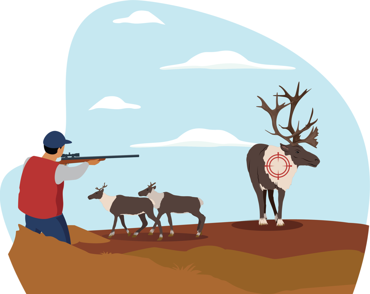 Caribou is Life – Beverly and Qamanirjuaq Caribou Management Board